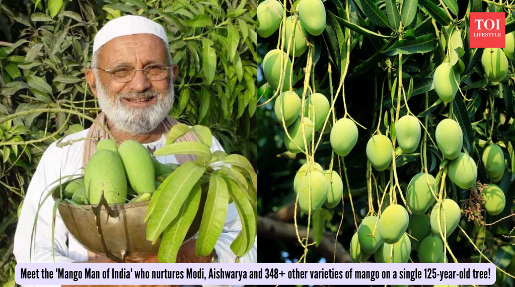 Meet the 'Mango Man of India' who nurtures Modi, Aishwarya and 348 ...