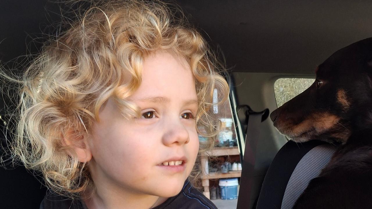 Sad update in search for Gus