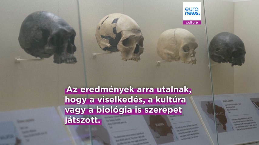 Párzási játék: egy új DNS-kutatás szerint a Homo sapiens sapiens nők ...