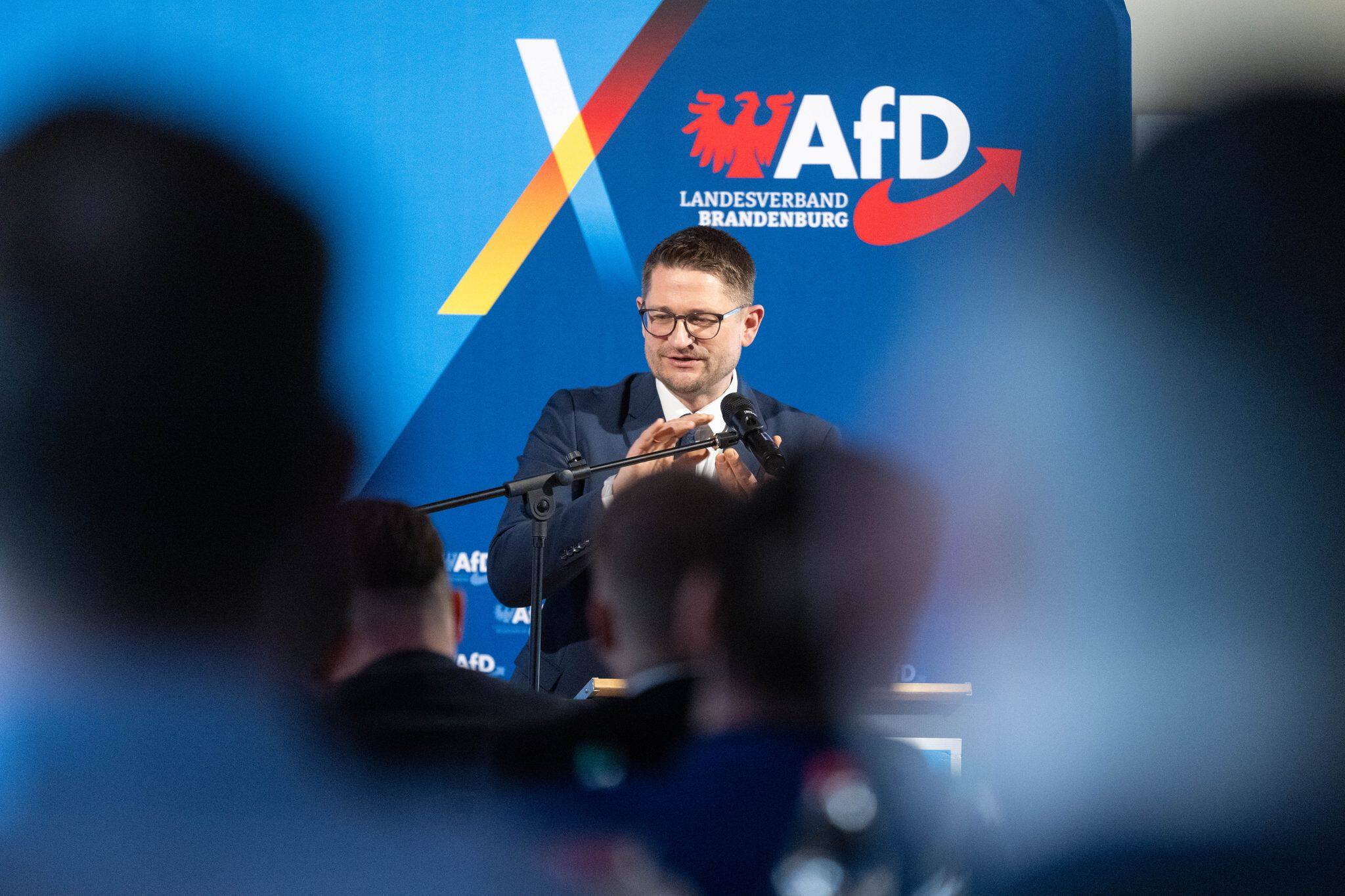 René Springer kandidiert erneut als AfD-Landeschef in Brandenburg