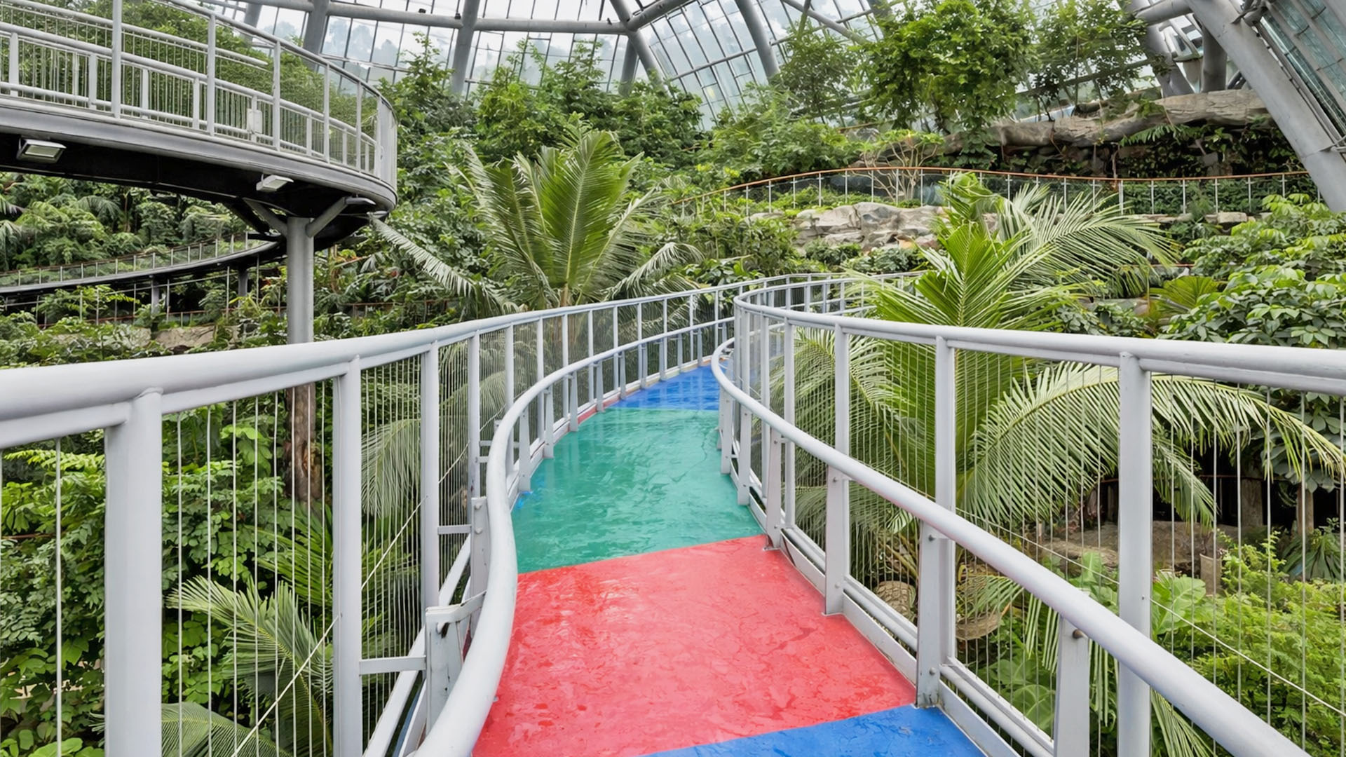 Une passerelle courbe offre une vue sur les plantes en Chine