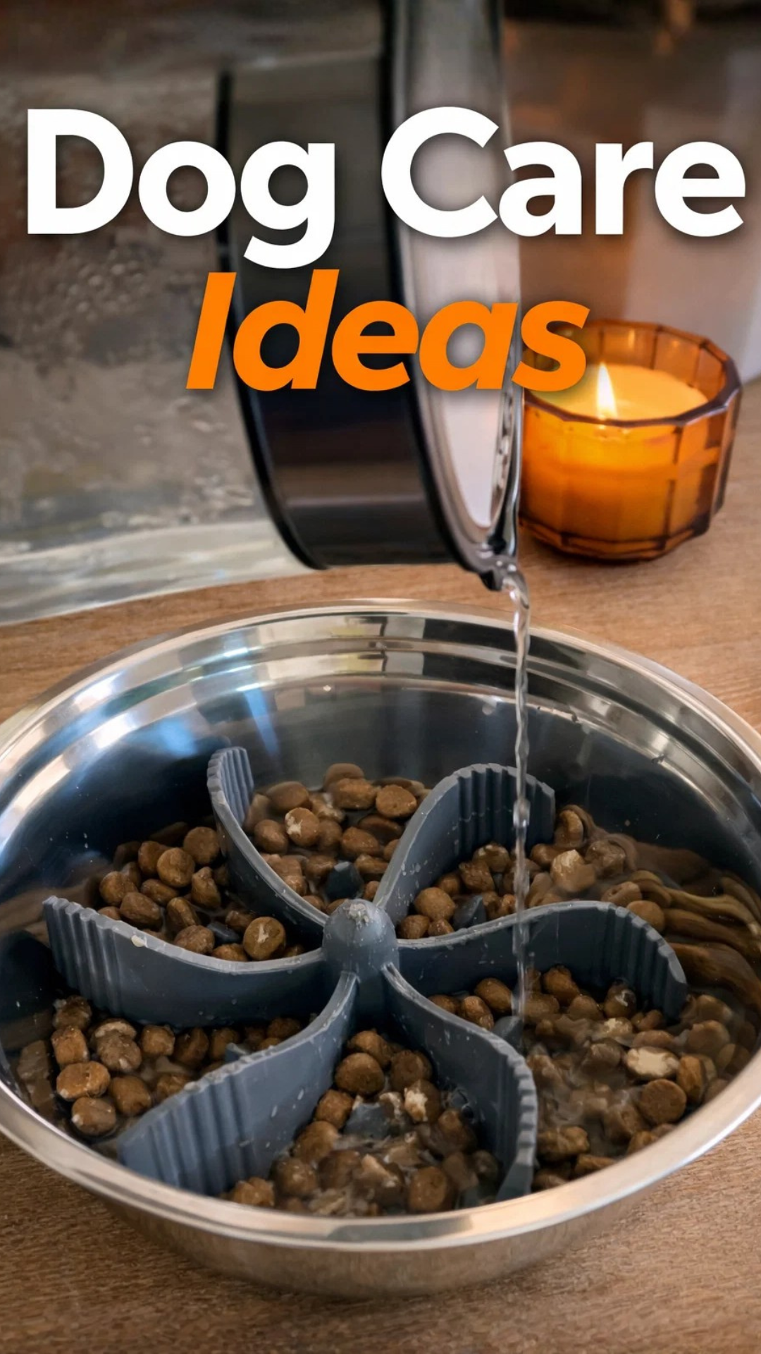 Dog care ideas DIY lick mat spa day and dog food ASMR