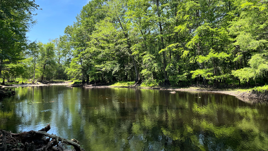 NC secures 2,500-acre Big Swamp tract for public recreation and ...
