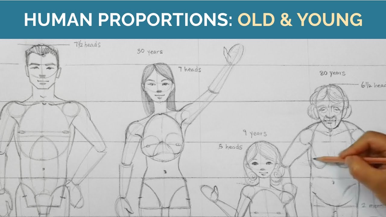 How to draw body proportions like a pro young vs old explained