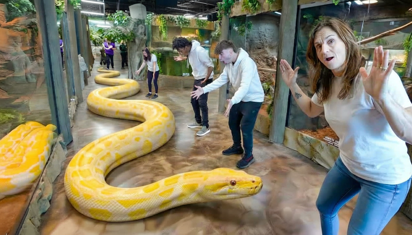 Measuring the longest snakes reveals how powerful large constrictors ...