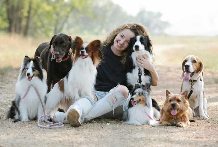 15 most affectionate dog breeds that love cuddles