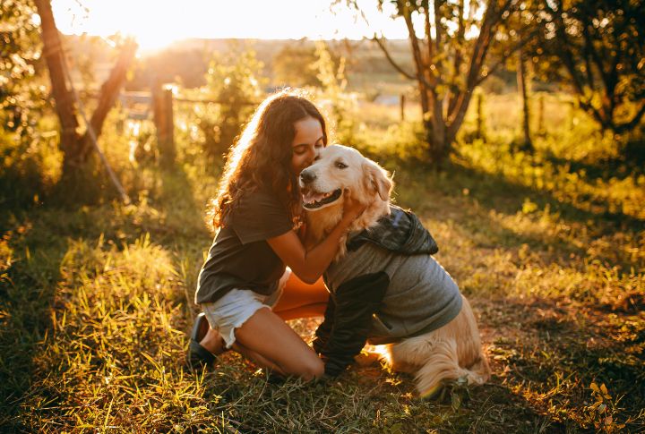 15 most affectionate dog breeds that love cuddles