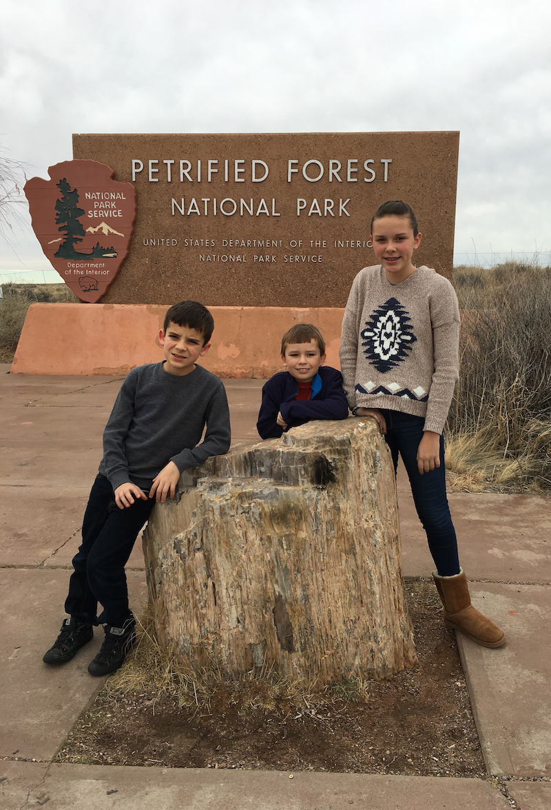 From Route 66 to stone trees: 9 cool things to do at Petrified Forest ...