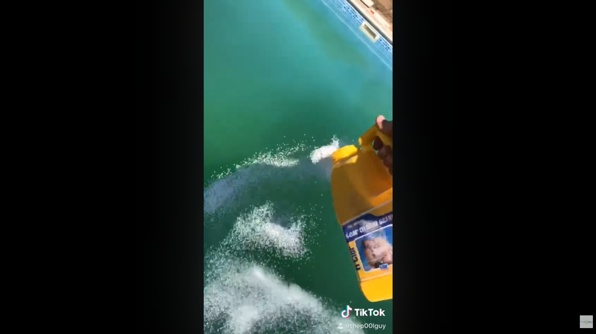 This is how professionals open a swimming pool for the season