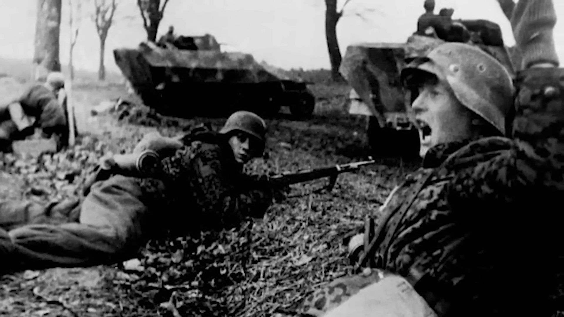The SS general who refused Hitler’s last order: Felix Steiner at Narva ...
