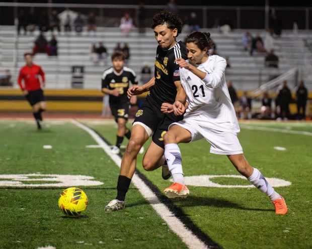 Watsonville enters inaugural state championship 'confident' | Boys soccer