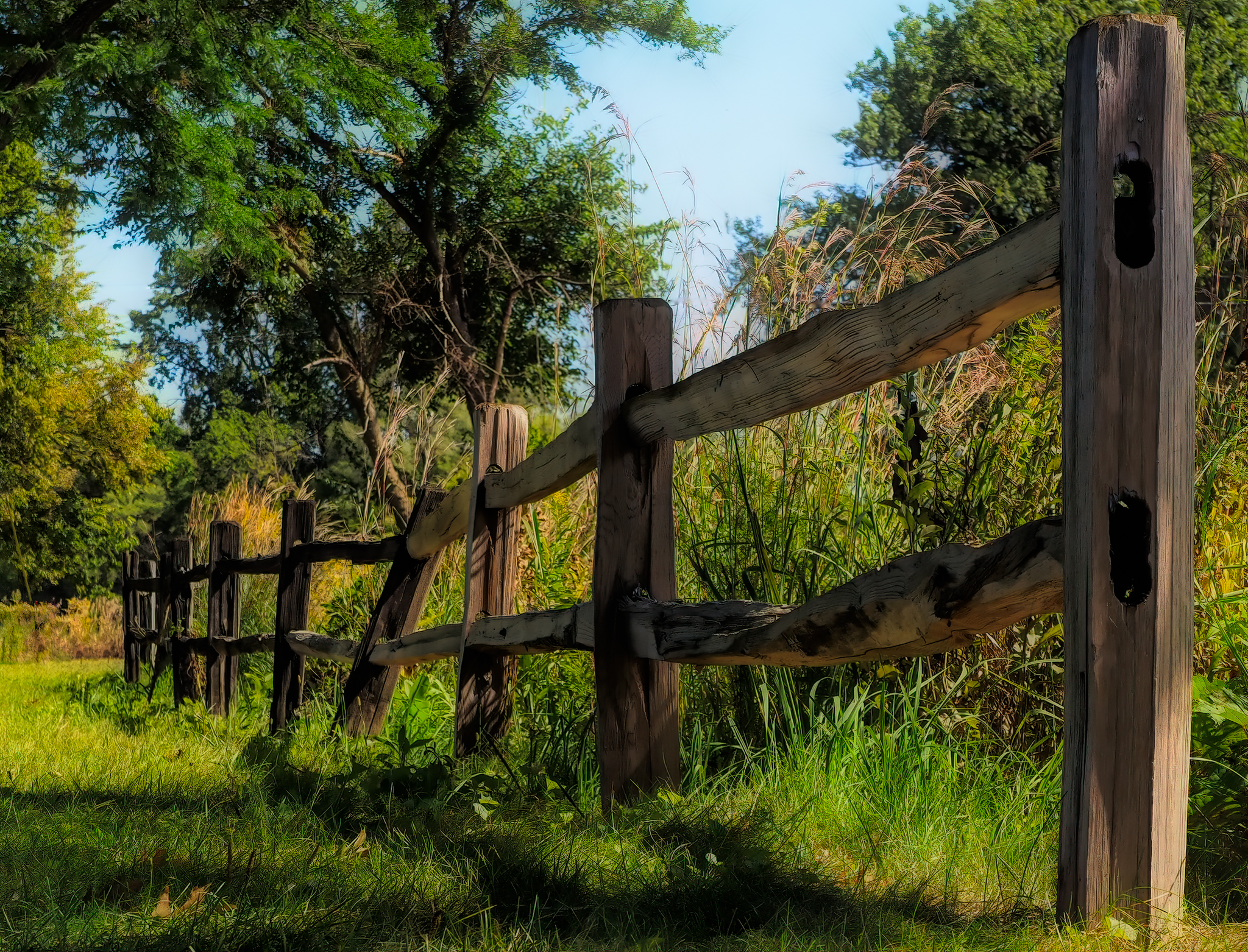 Rustic to ornate: 15 attractive fence ideas
