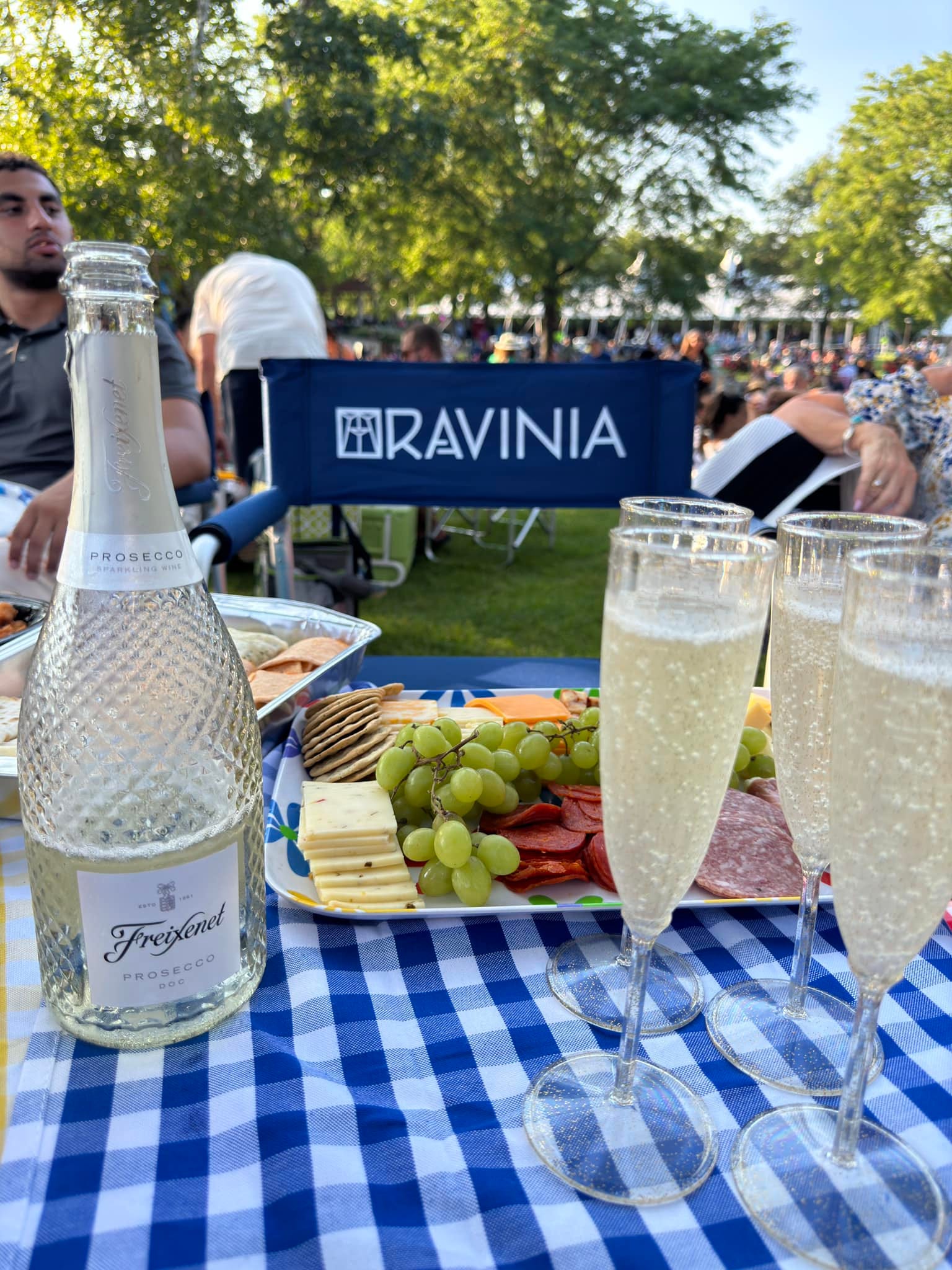 Ravinia Festival unveils 2026 summer lineup