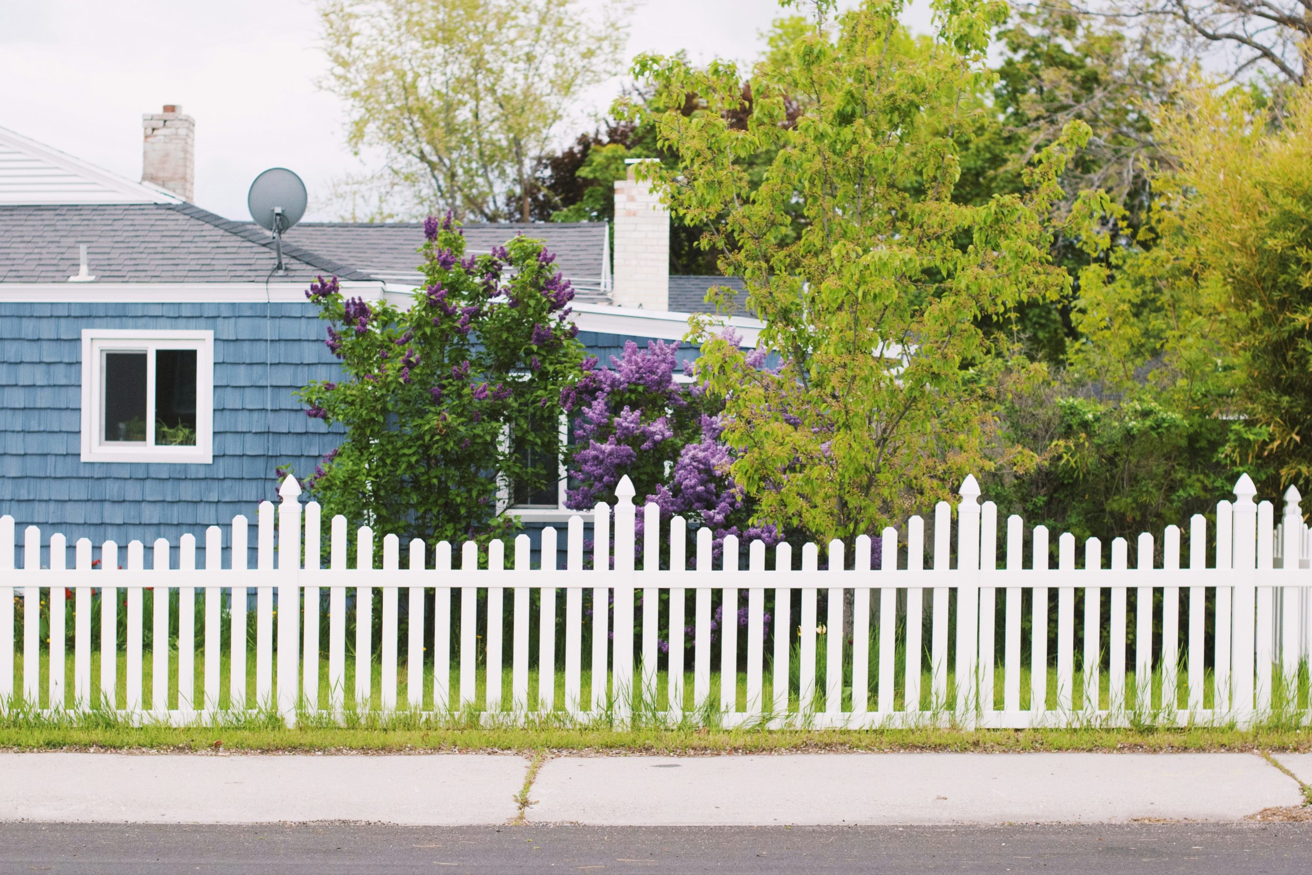 Rustic to ornate: 15 attractive fence ideas