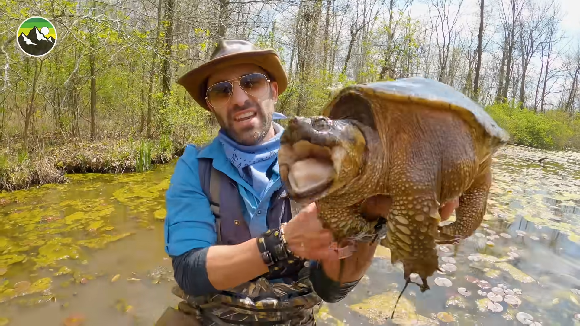 Catching 10 turtles in a day