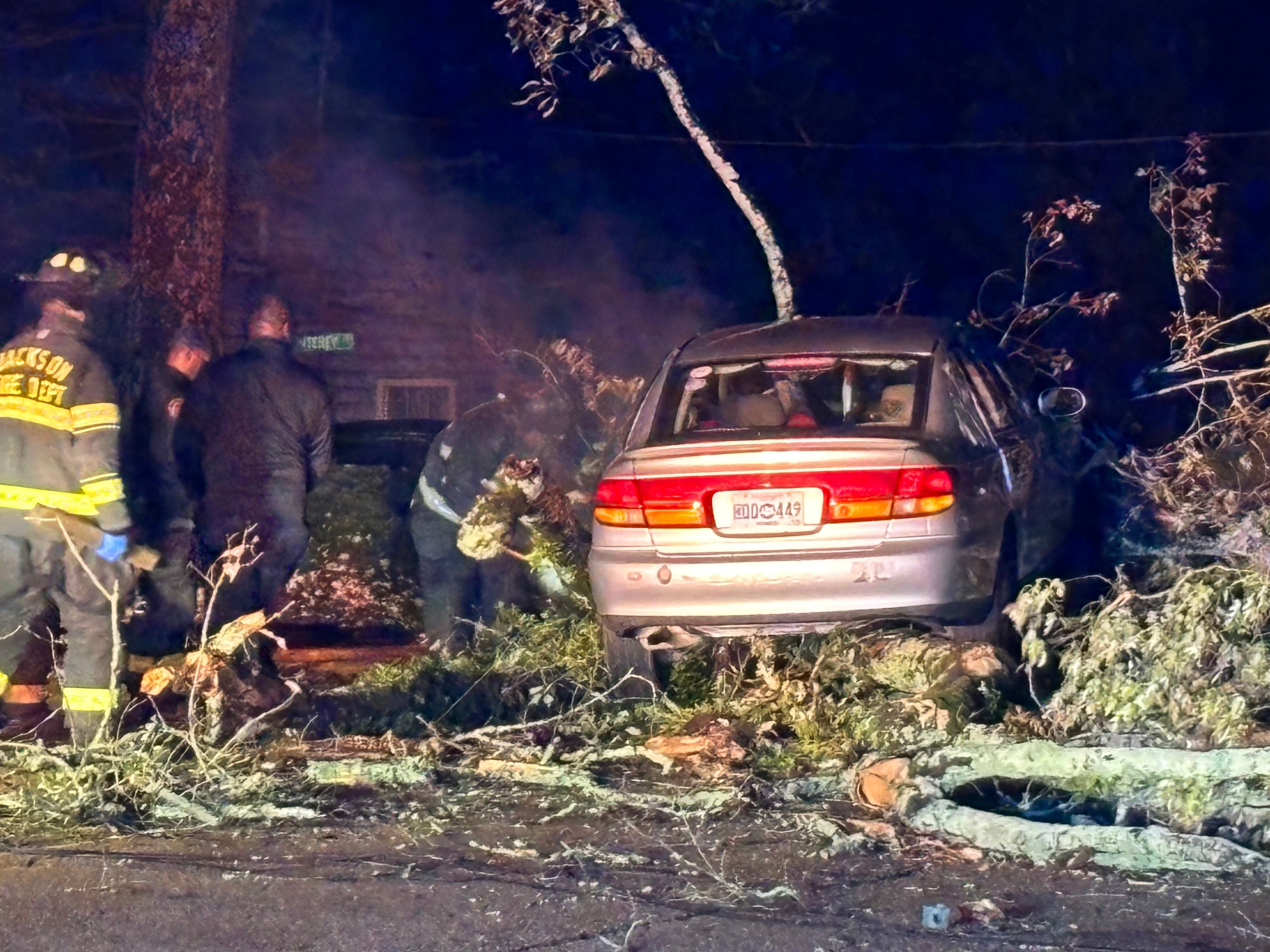 Person injured after crashing into fallen tree