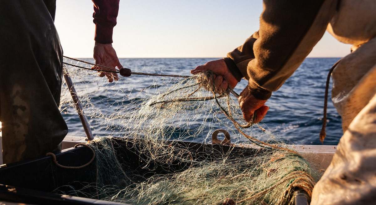 Un pez rey de 55 kilos acaba en la red de un pescador: "Nunca había ...