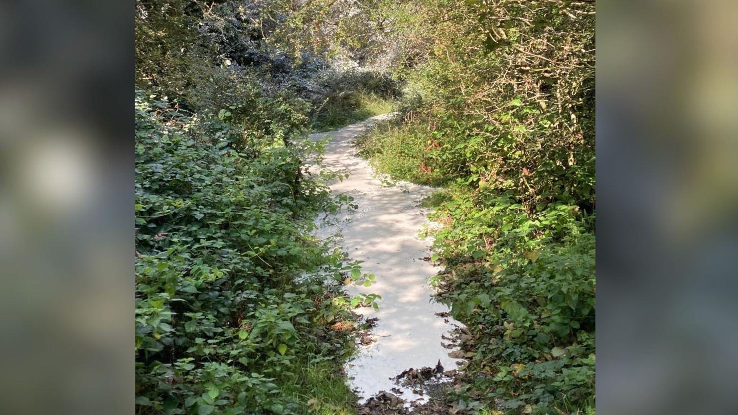 Mining firm pays £430k over river pollution