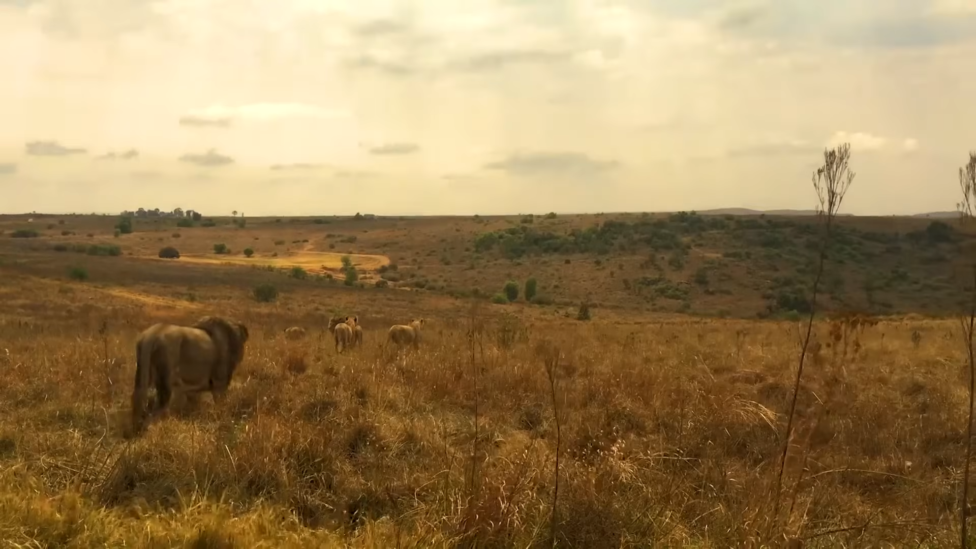 How geography doomed Africa