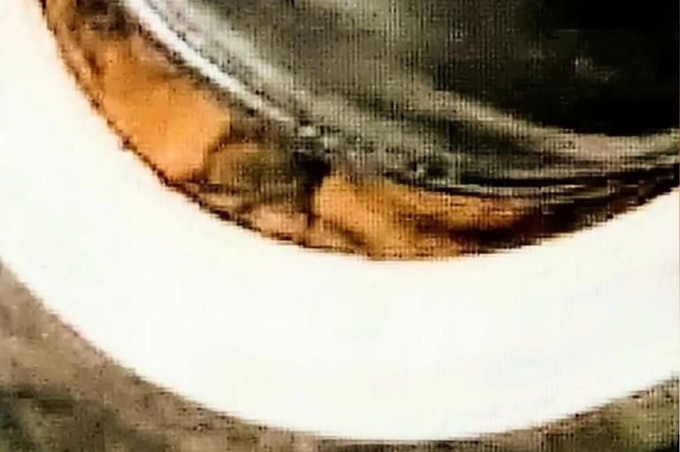 Nancy Guthrie suspect tattoo provides key clue on troublesome past