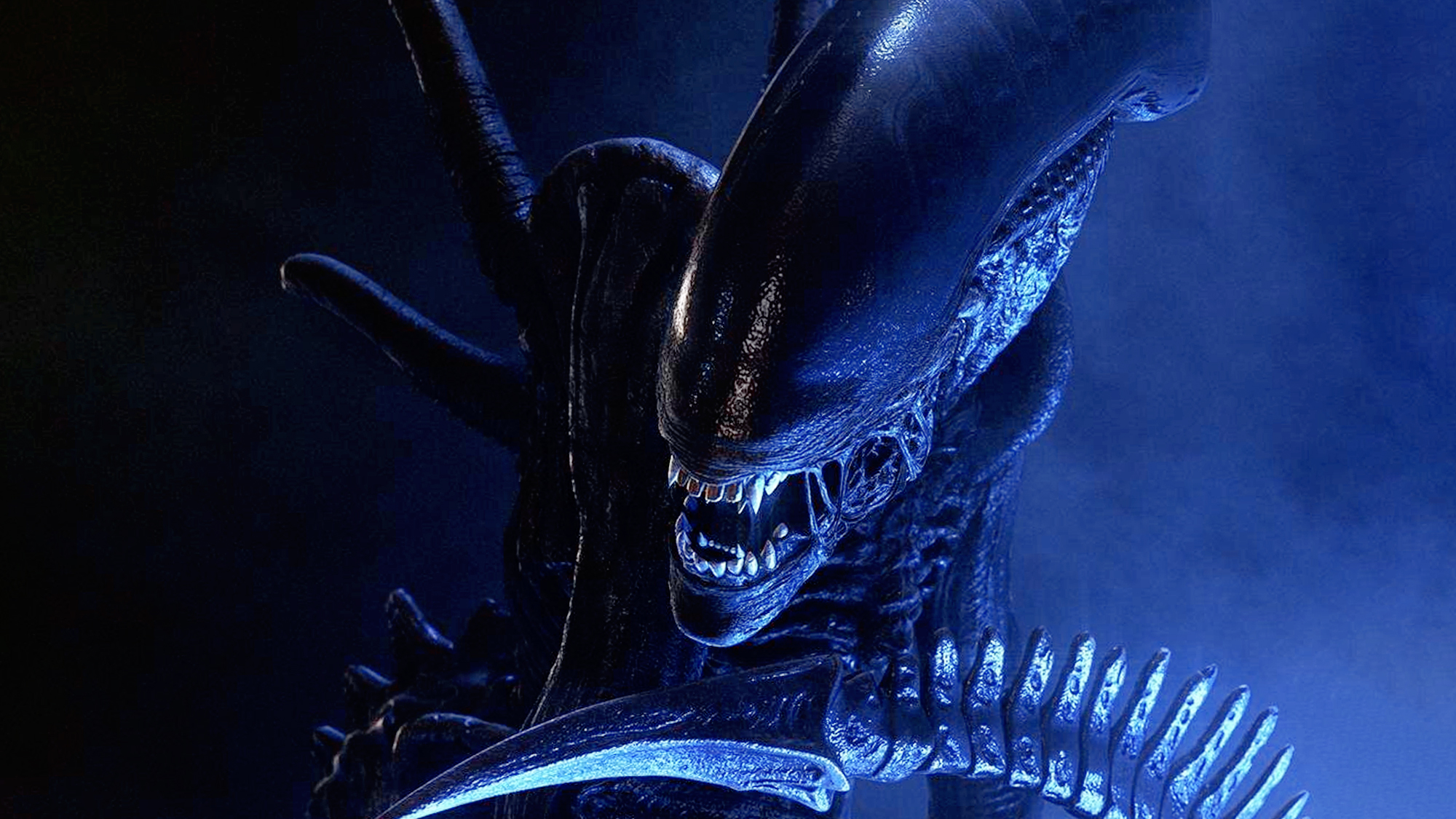 Alien : excellente nouvelle pour le prochain film, ça va plaire aux fans