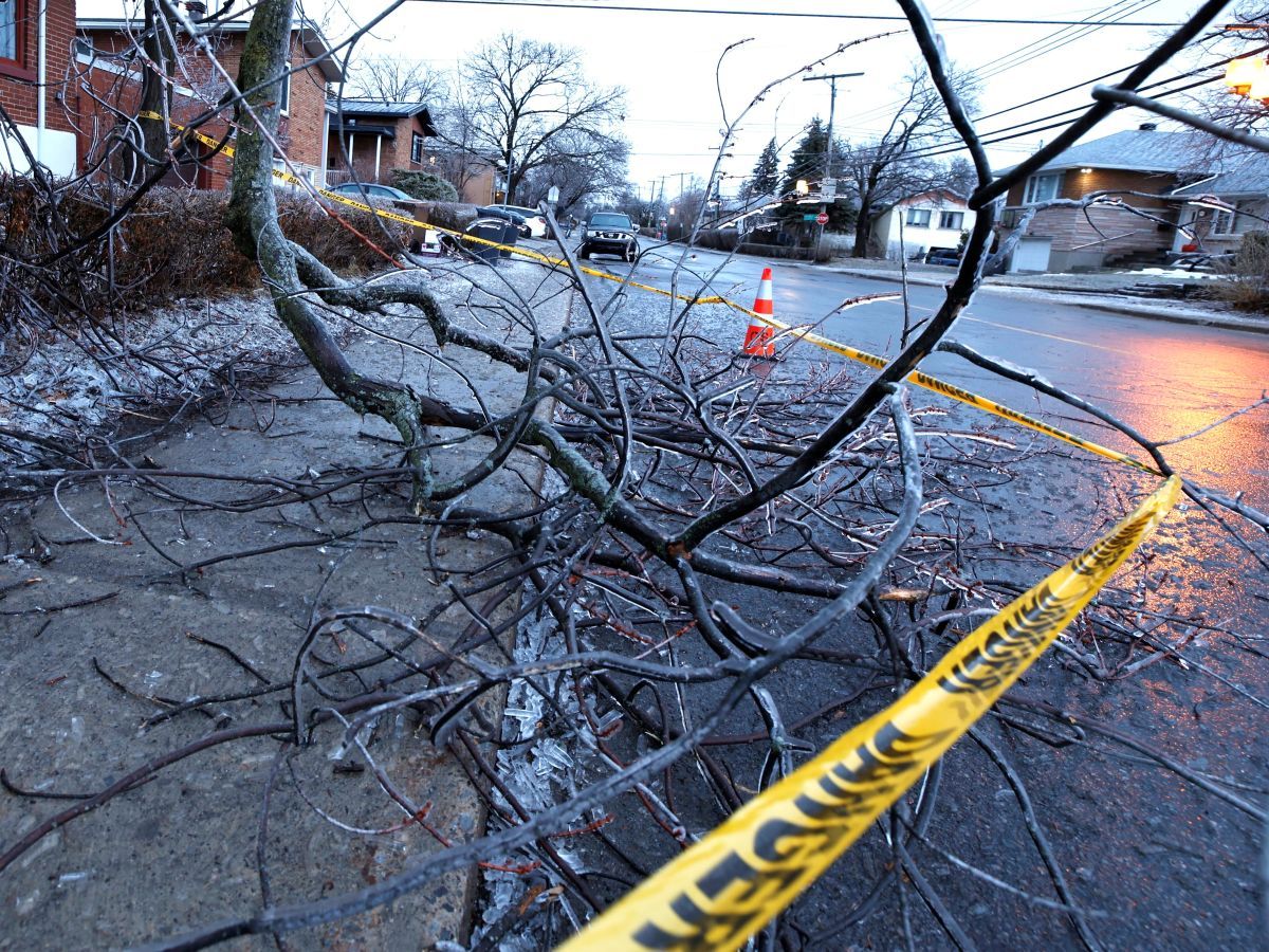 After Montreal's ice storm: Hydro-Québec restores power to most homes