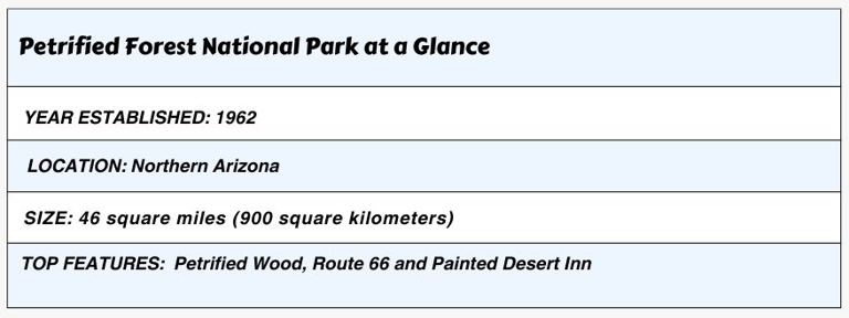 From Route 66 to stone trees: 9 cool things to do at Petrified Forest ...