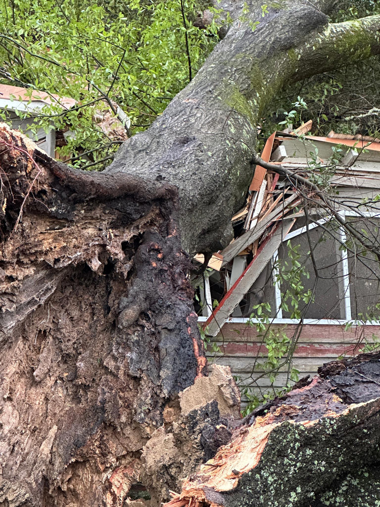 Severe storms bring damage to counties in east Alabama and west Georgia