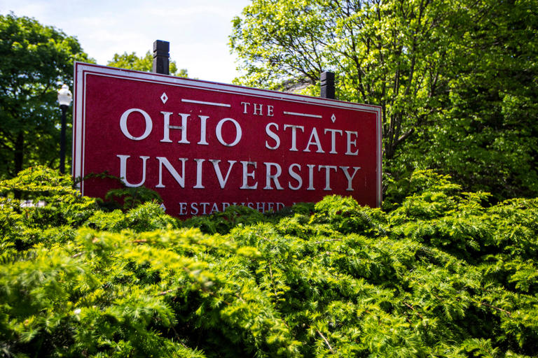 Ohio State names provost as its new president after predecessor's ...