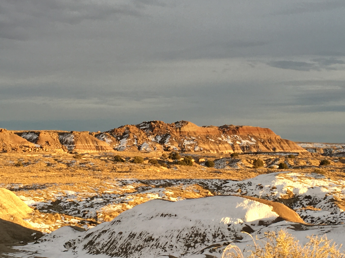 From Route 66 to stone trees: 9 cool things to do at Petrified Forest ...