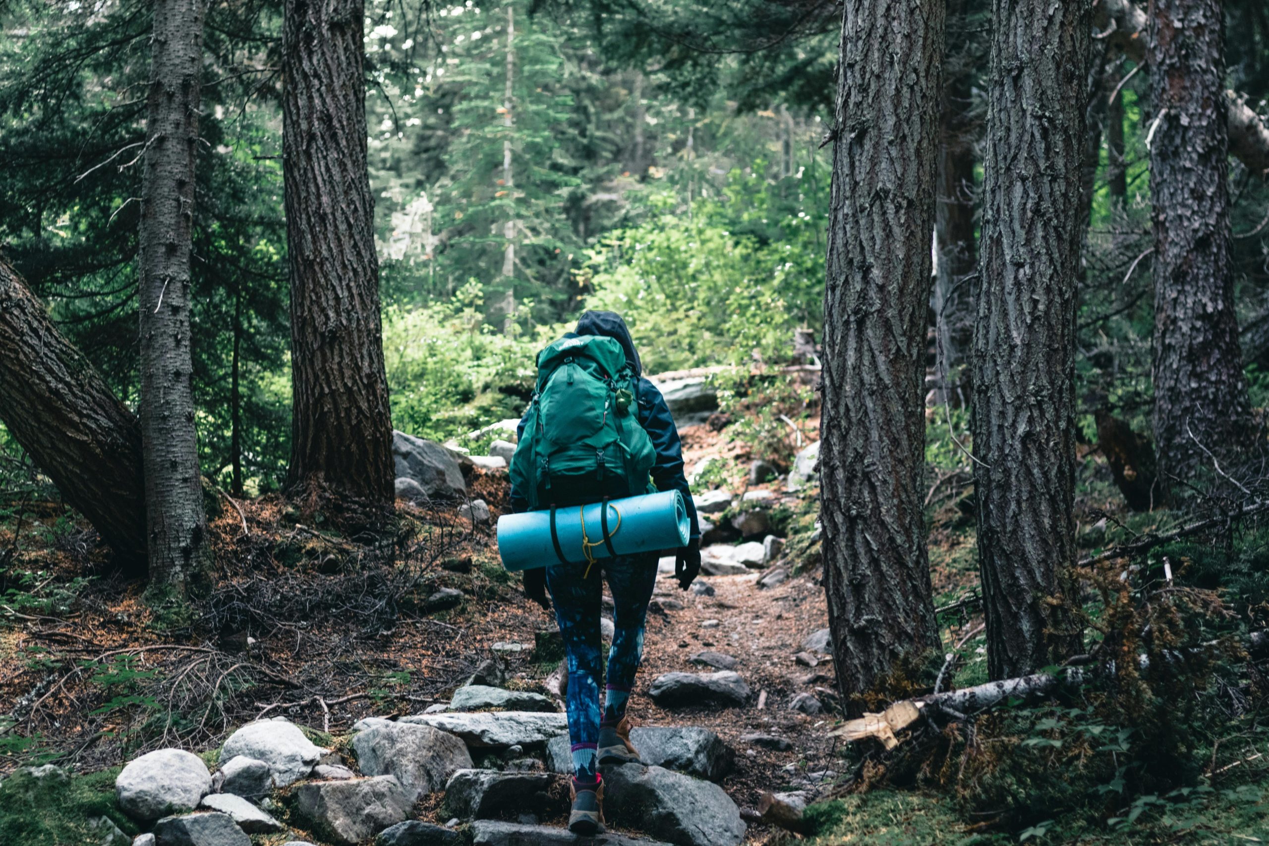 I solo hiked 14 trails alone — here are the 9 times I almost didn’t ...