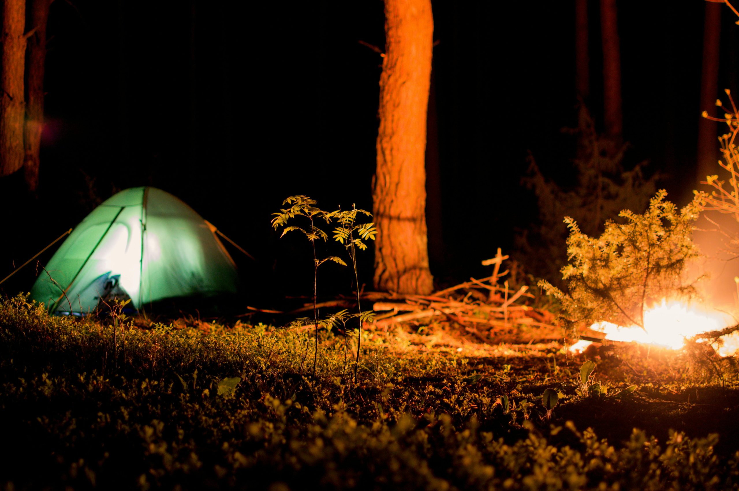 8 things everyone does wrong around a campfire