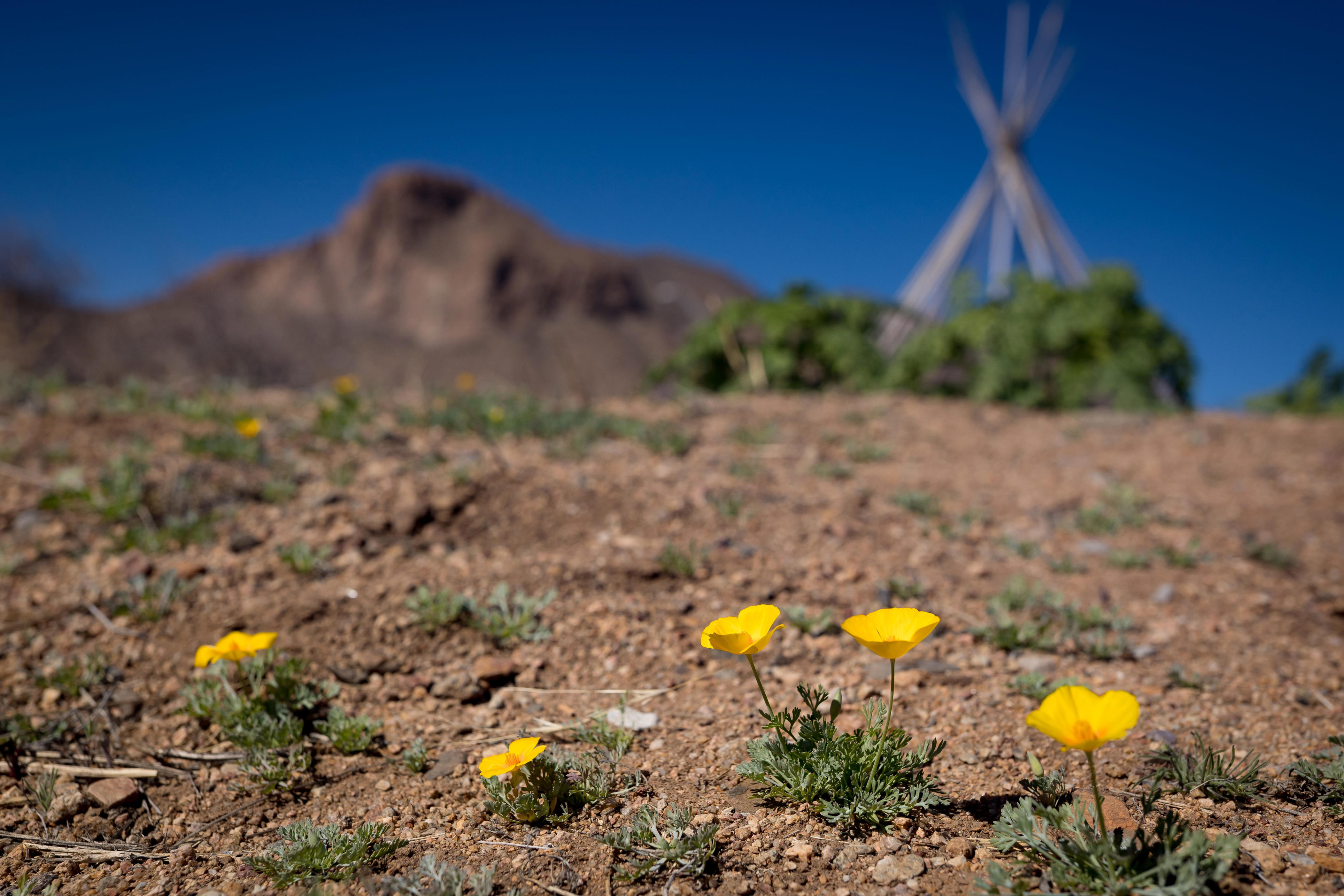 Is today the first day of spring? What time does spring arrive today?