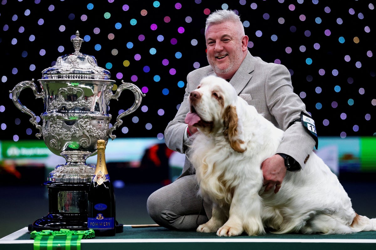 15,000 people sign petition calling for Crufts winner to lose award