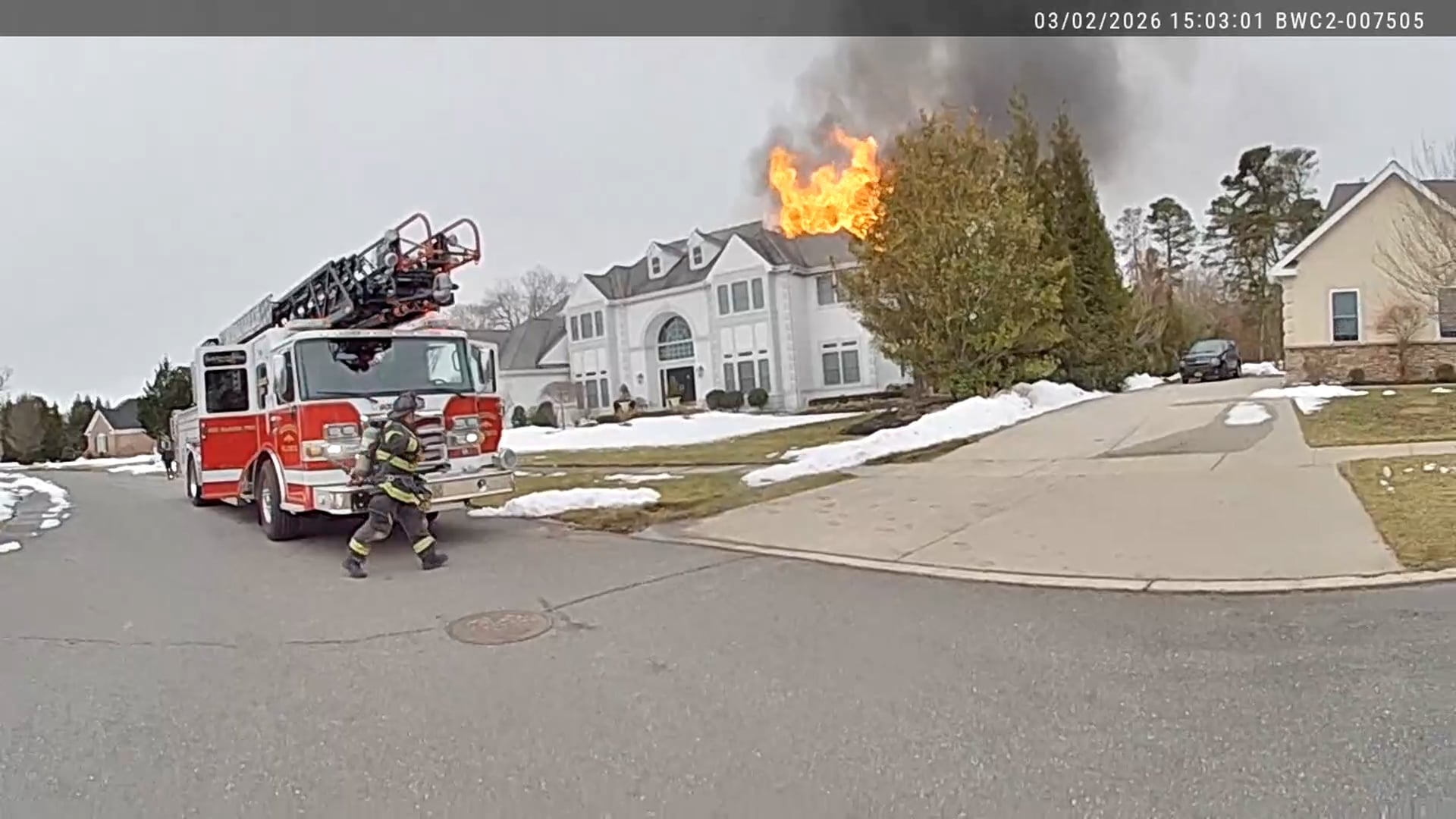 Dog rescued from massive house fire