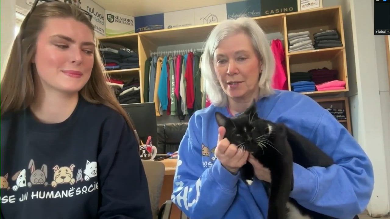 Moose Jaw Humane Society fundraising