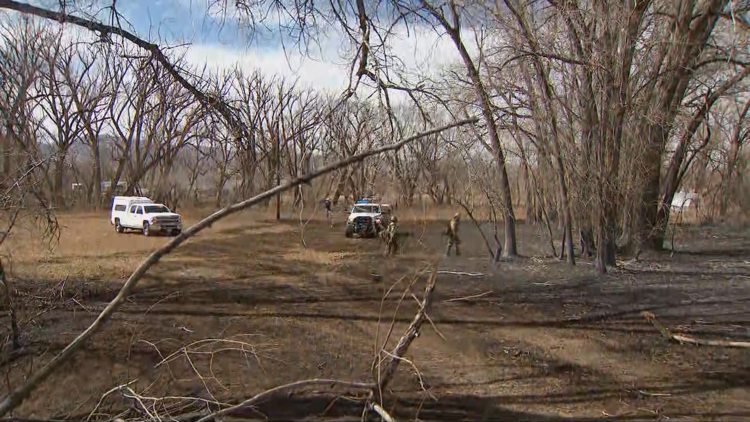 Fire that prompted evacuations in Fort Collins was caused by downed ...