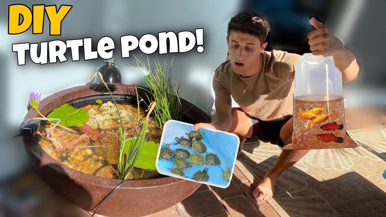 I built a turtle paradise in my yard!🐢💚