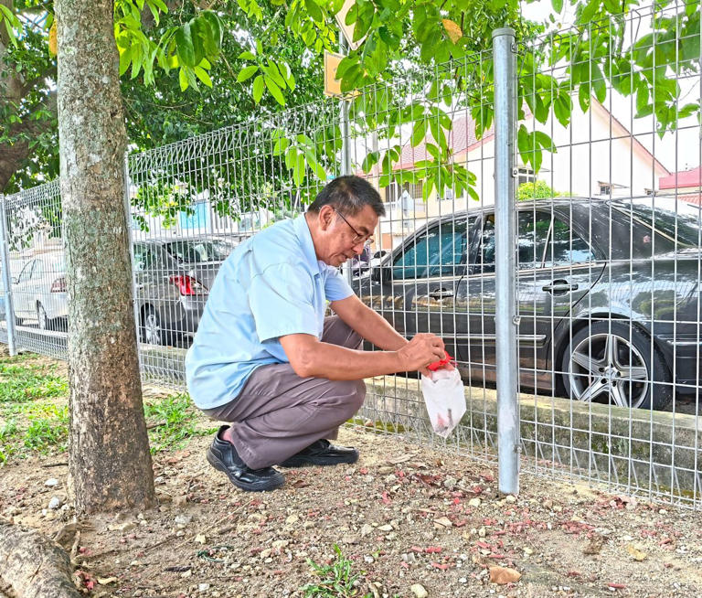 Clean up after setting off firecrackers or face penalties