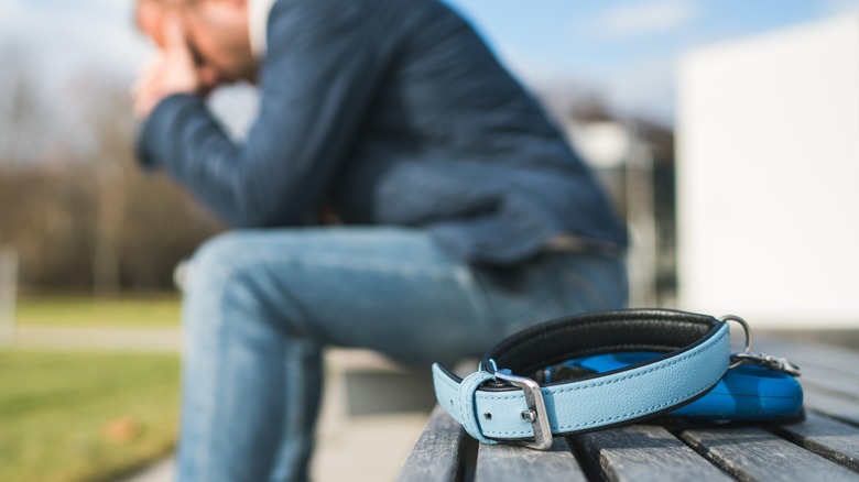 How to cope with devastating pet loss