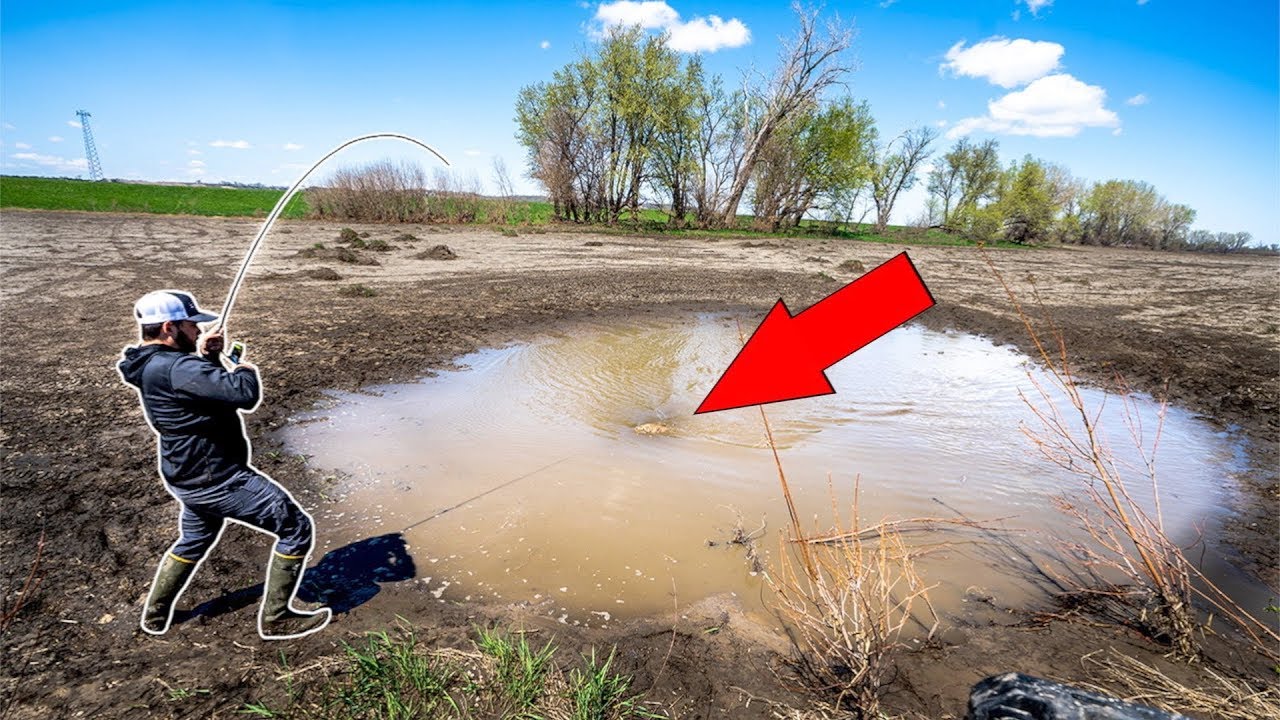 Catching giant fish in a tiny puddle