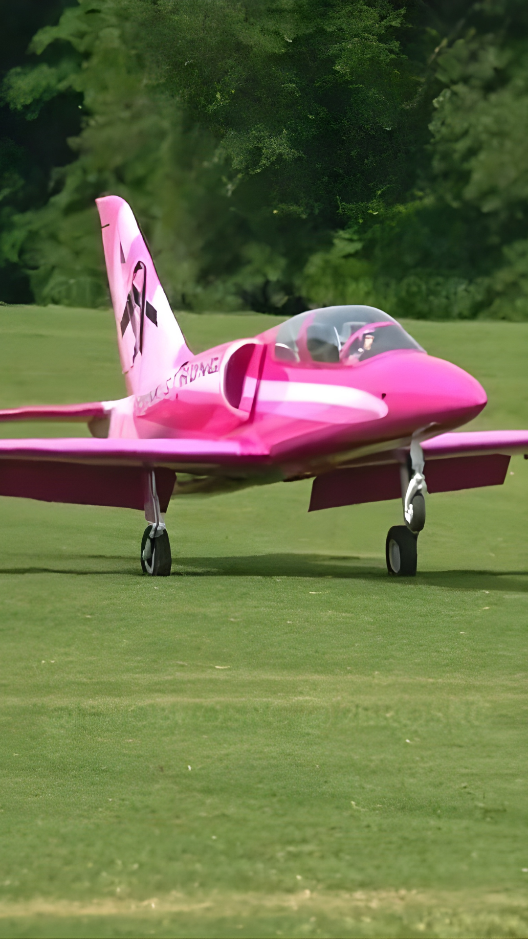 The thrill of an L-39 Albatros jet performing a wheelie landing