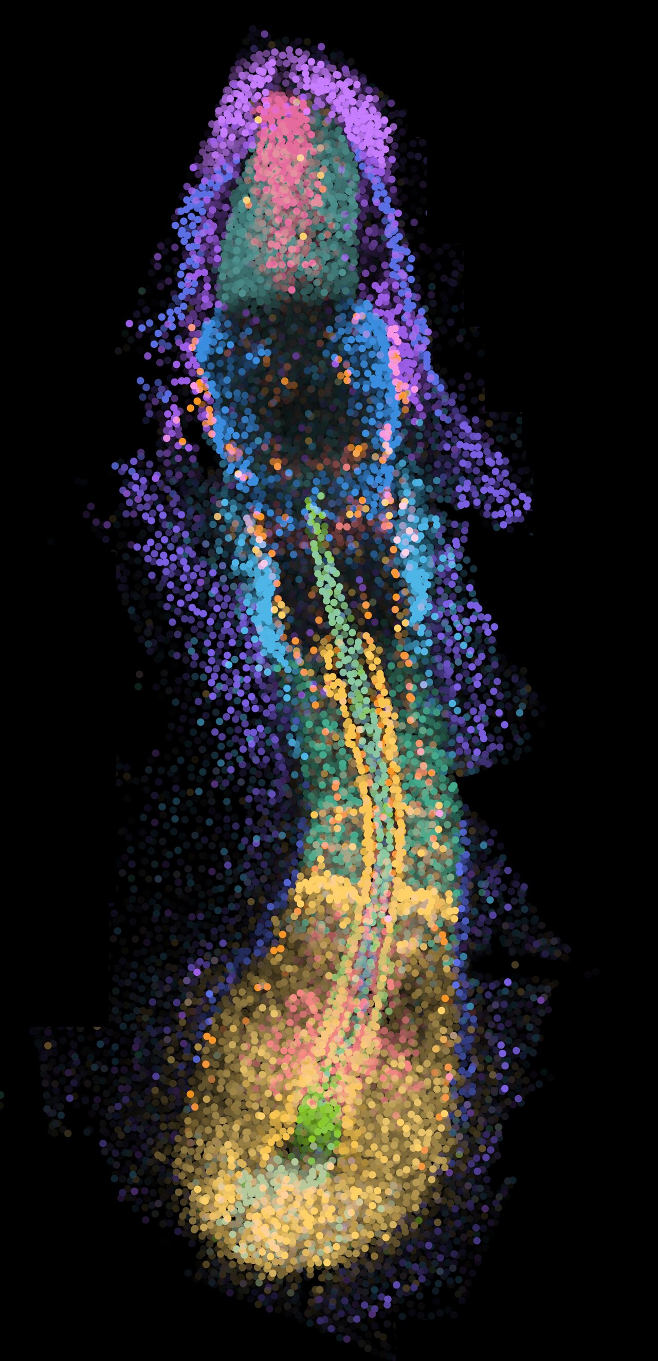 Embryogenesis in 4D: A developmental atlas for genes and cells
