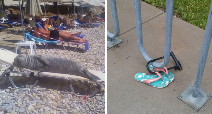 26 beach discoveries people couldn’t keep to themselves