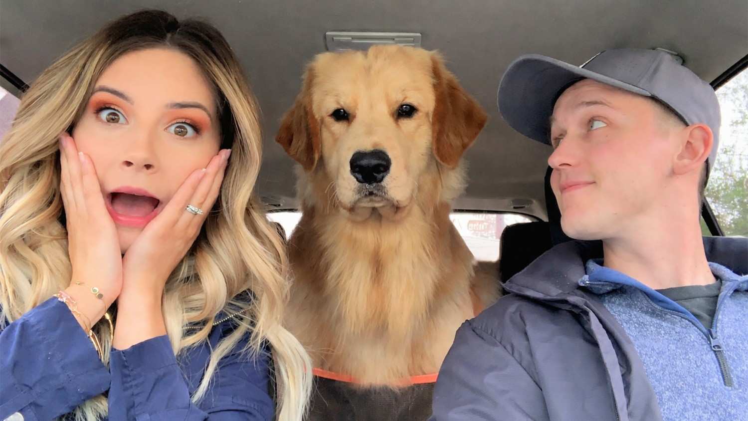 Tucker the golden retriever survives the car wash