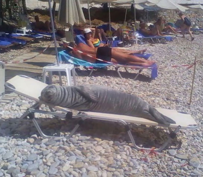 26 beach discoveries people couldn’t keep to themselves