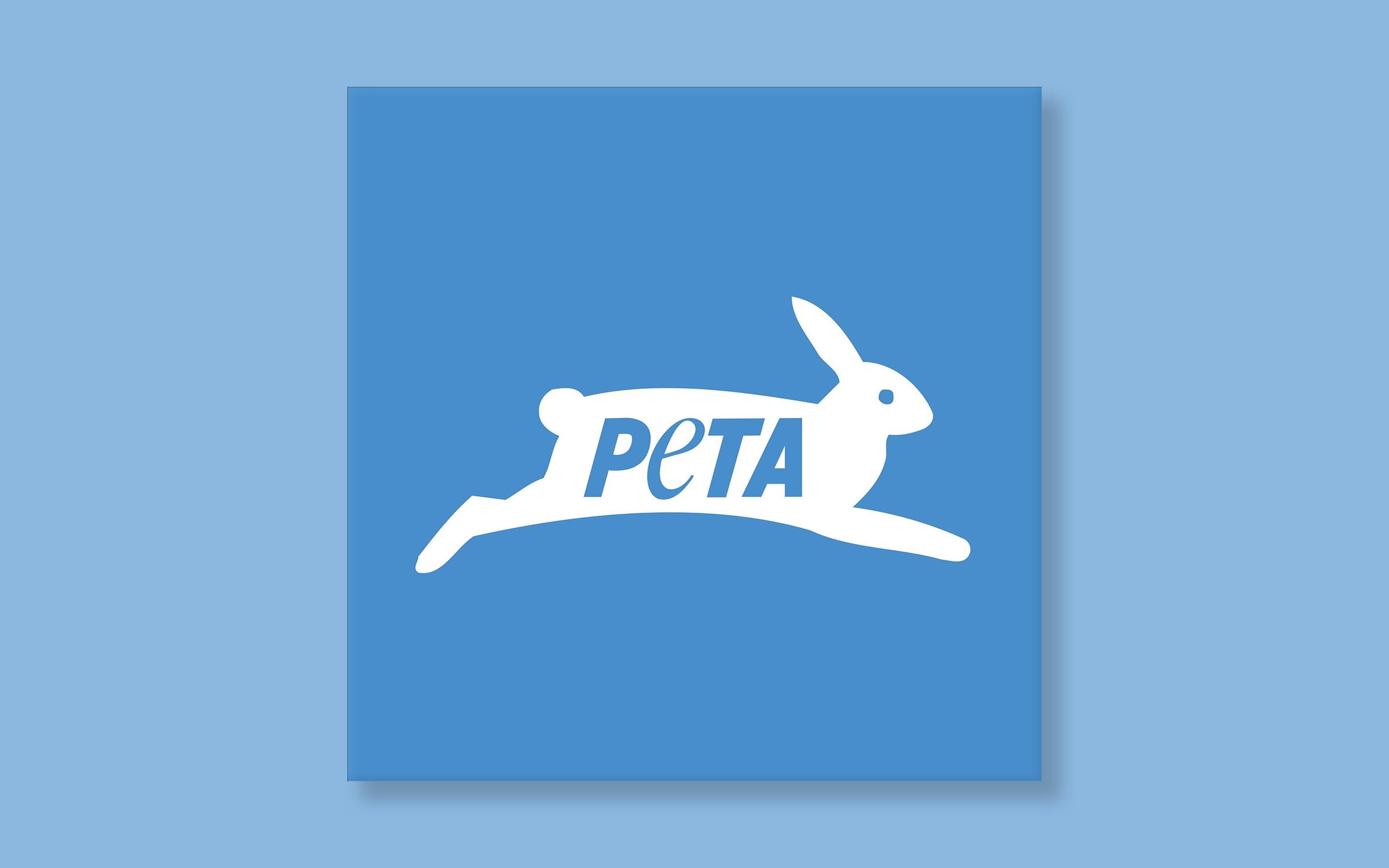 PETA launches urgent PSA after Upstate cat allegedly tortured, returned ...