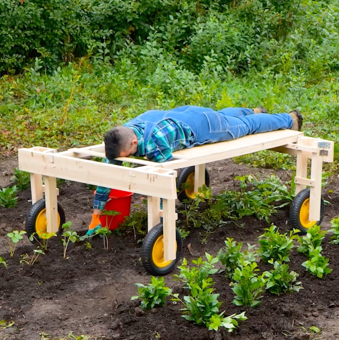 Garden magic: Transforming scraps into green gold!