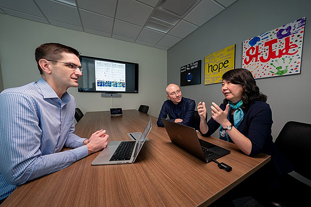 First-of-its-kind analysis reveals the structural variant landscape ...