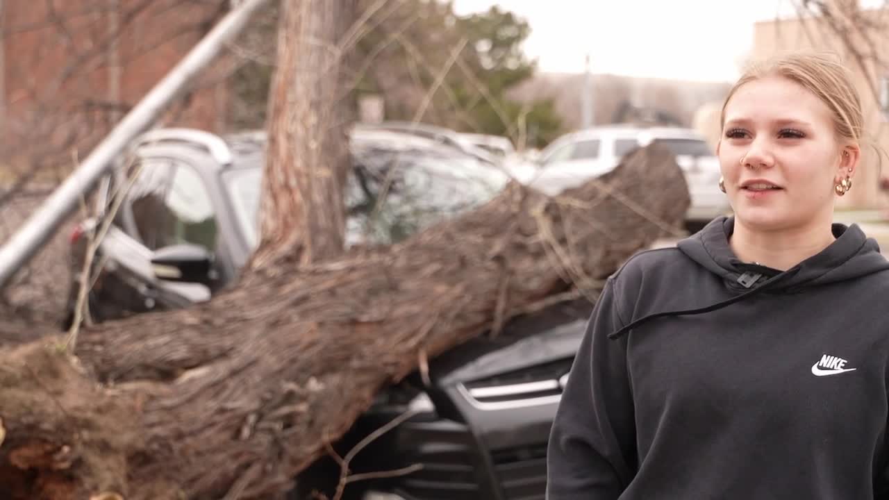 Powerful winds knock down trees and damage cars across Billings